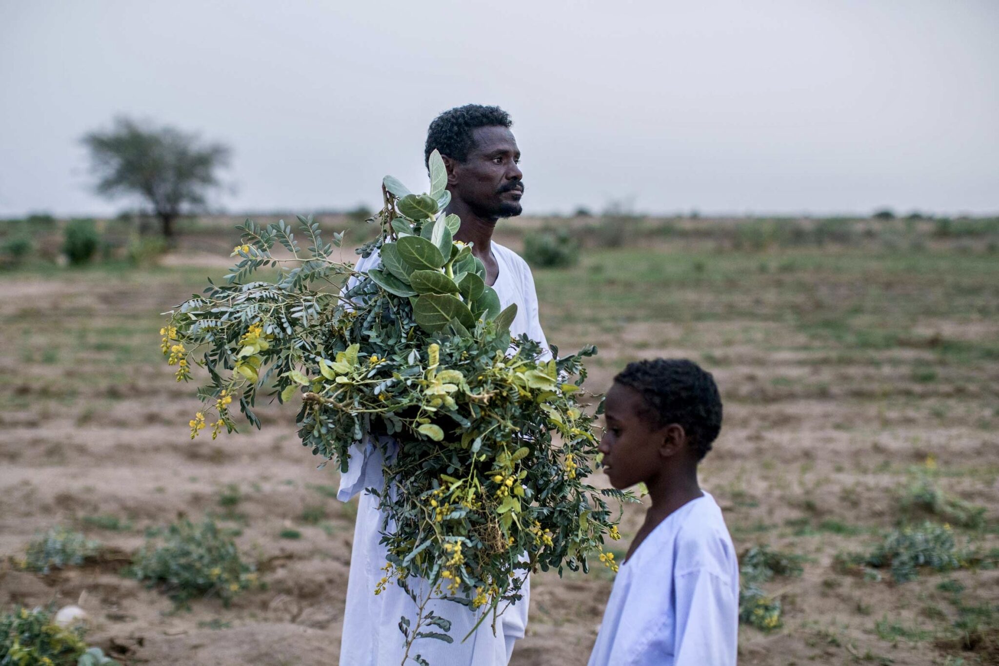 A struggle to plant – Ayin network – شبكة عاين