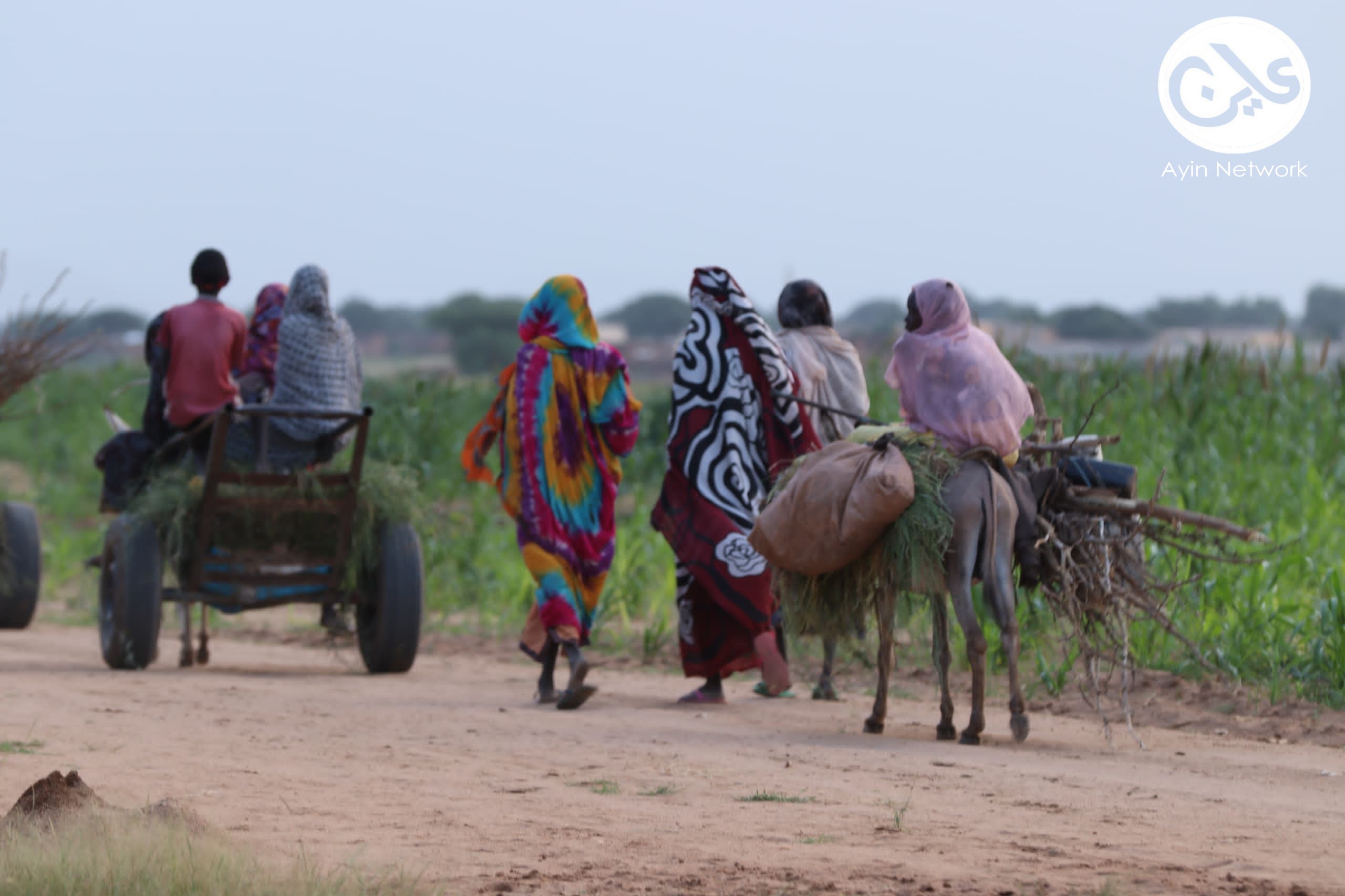 More actors call for a civilian protection force – Ayin network – شبكة عاين