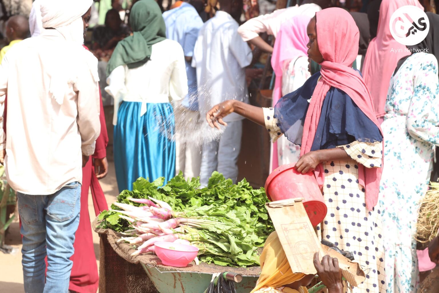 Small but critical farming in Darfur has helped reduce prices – Ayin ...